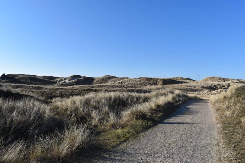 Seværdigheder i Jylland - De 50 bedste oplevelser i det jyske | Rejsekris